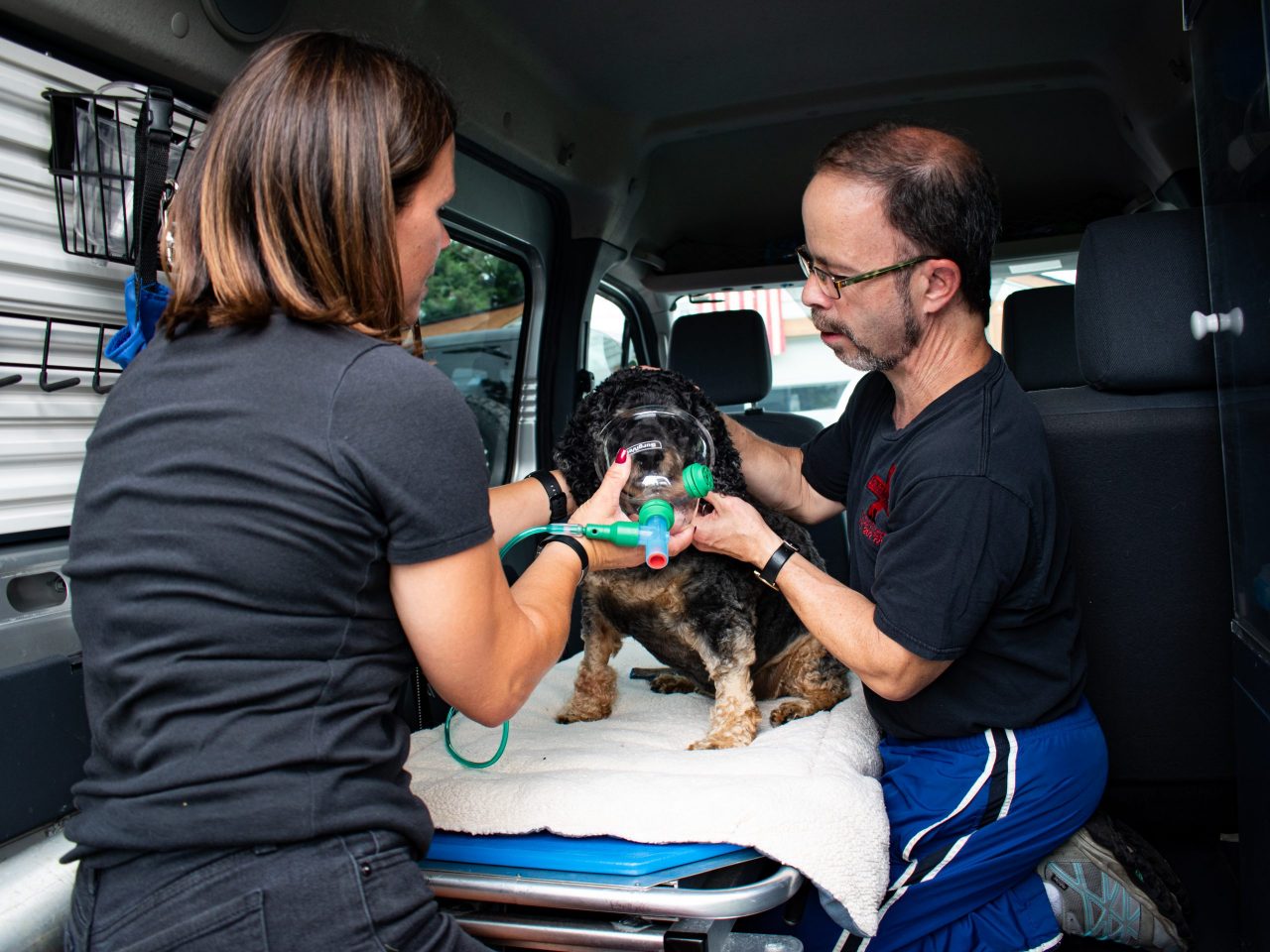 Critical Transportation - VetMedics